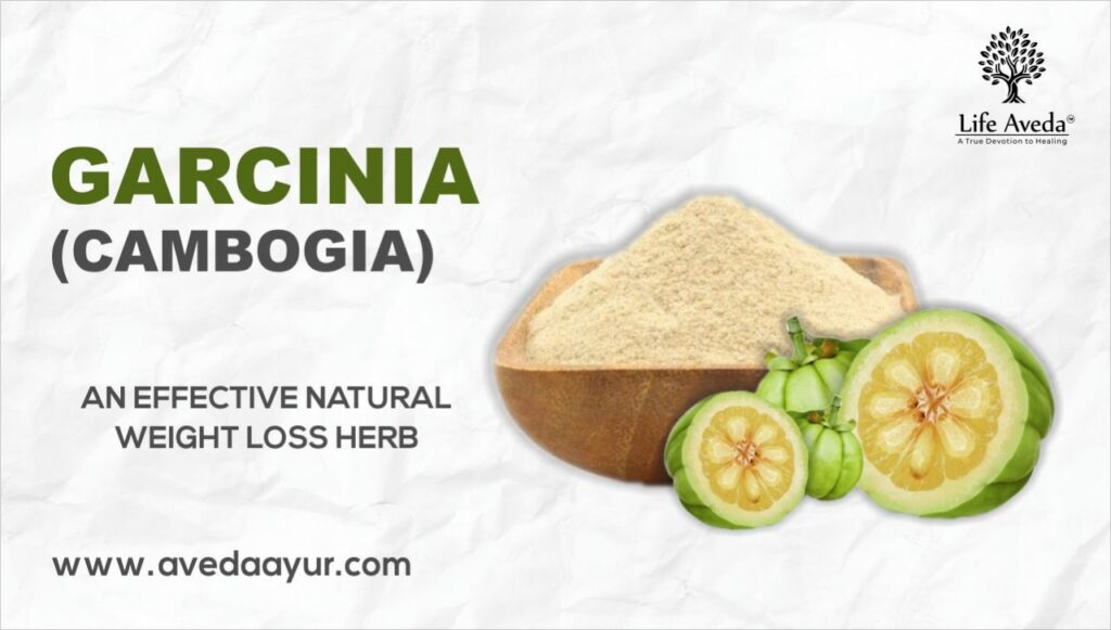 Garcinia Medicinal Uses, Health benefits and Dosage