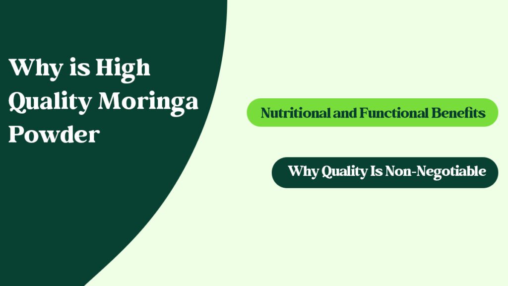 How to Source High-Quality Moringa Powder from India